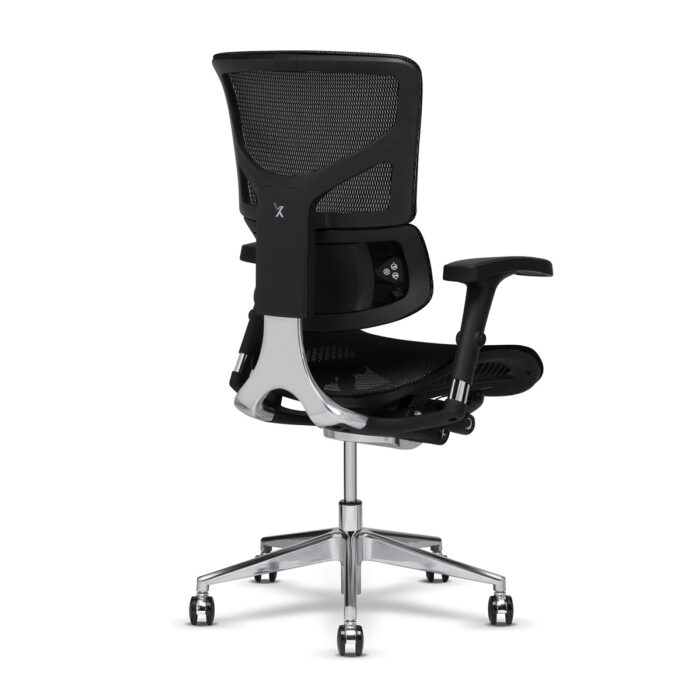 Buy X Chair Heat Massage Therapy Unit Online | BDO Furniture